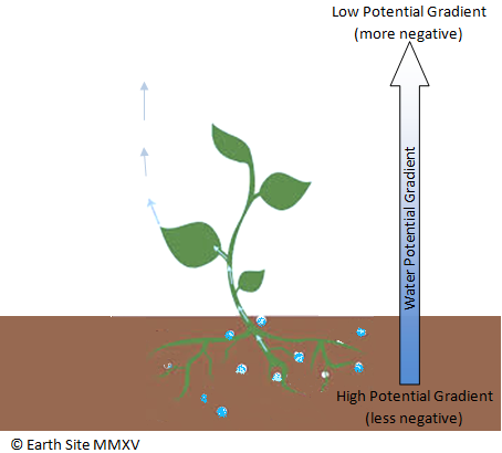 Meteorology - Understanding Weather - Earth Site Education