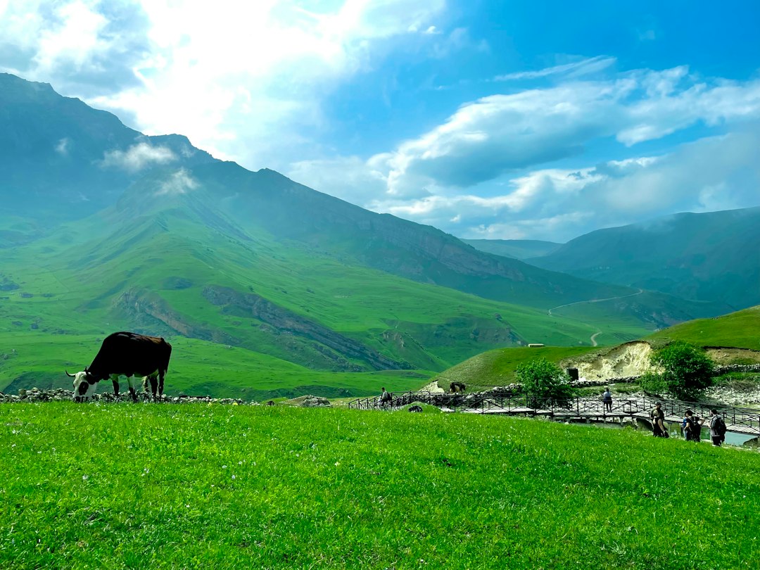 Azerbaijan's Political Boundaries: Provinces, Districts, or Historical ...