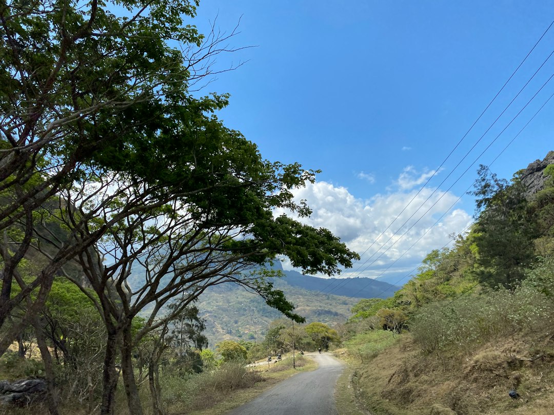 Exploring the Hidden Gems of East Timor: A Journey Through the Culture ...