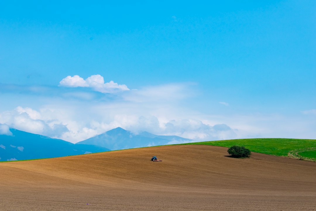 The Power of Sulfur: Unleashing the Benefits of this Essential Element ...