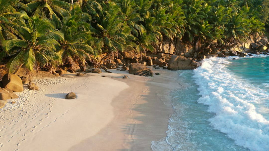 Discovering the Hidden Gems of Seychelles: A Journey Through Paradise ...