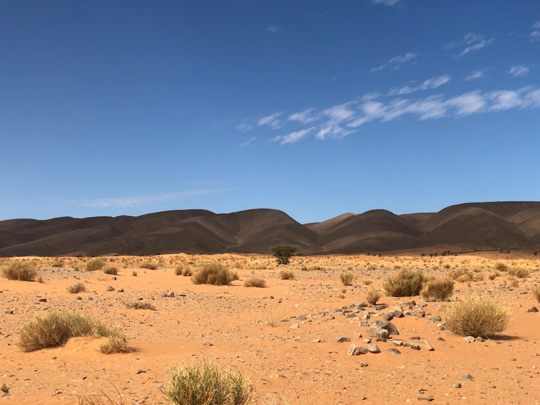 Discovering the Magic of Morocco: A Journey Through the Sights, Sounds ...