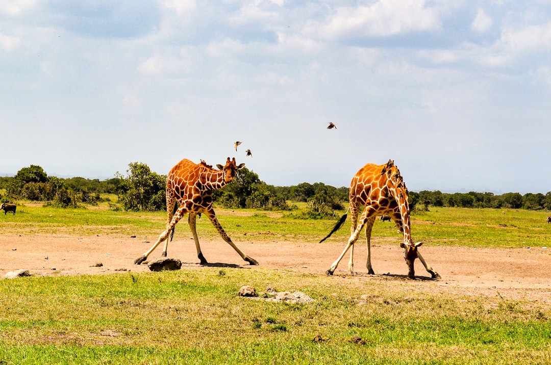 Cultural or Historical Sites of Botswana: Important Cultural Landmarks ...