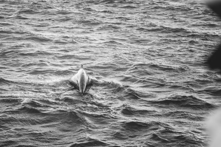 Terrain and Topography of The Bahamas: mountains, valleys, and plains ...