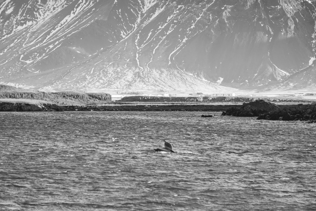 Terrain and Topography of The Bahamas: mountains, valleys, and plains ...