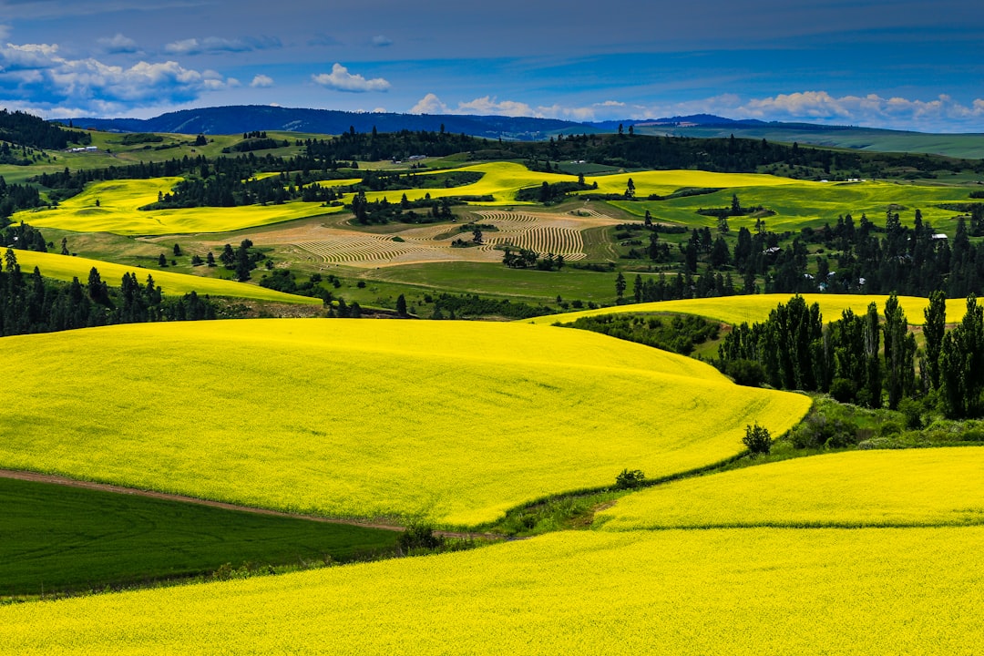 Terrain and Topography of Hungary: mountains, valleys, and plains ...
