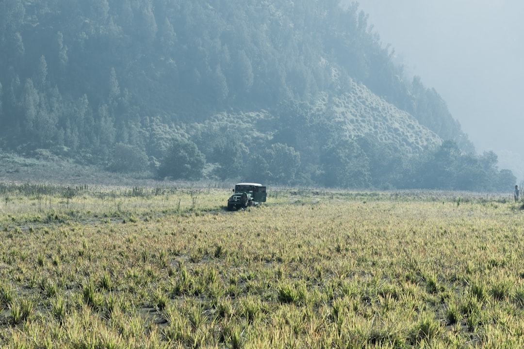 Natural Resources of the Country of Georgia: Where Natural Resources ...