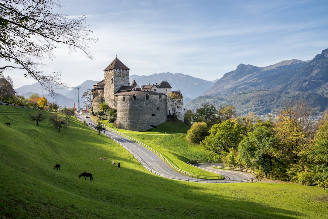 History of Liechtenstein - Earth Site Education