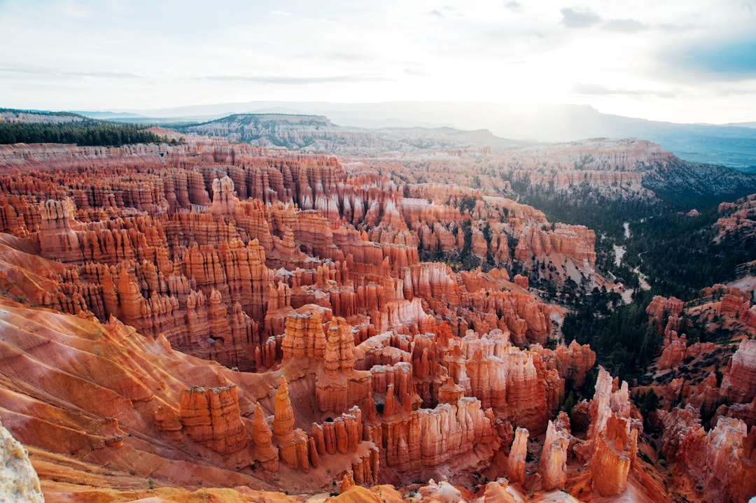 Dry (Arid and Semi-Arid) Climate Zones - Earth Site Education