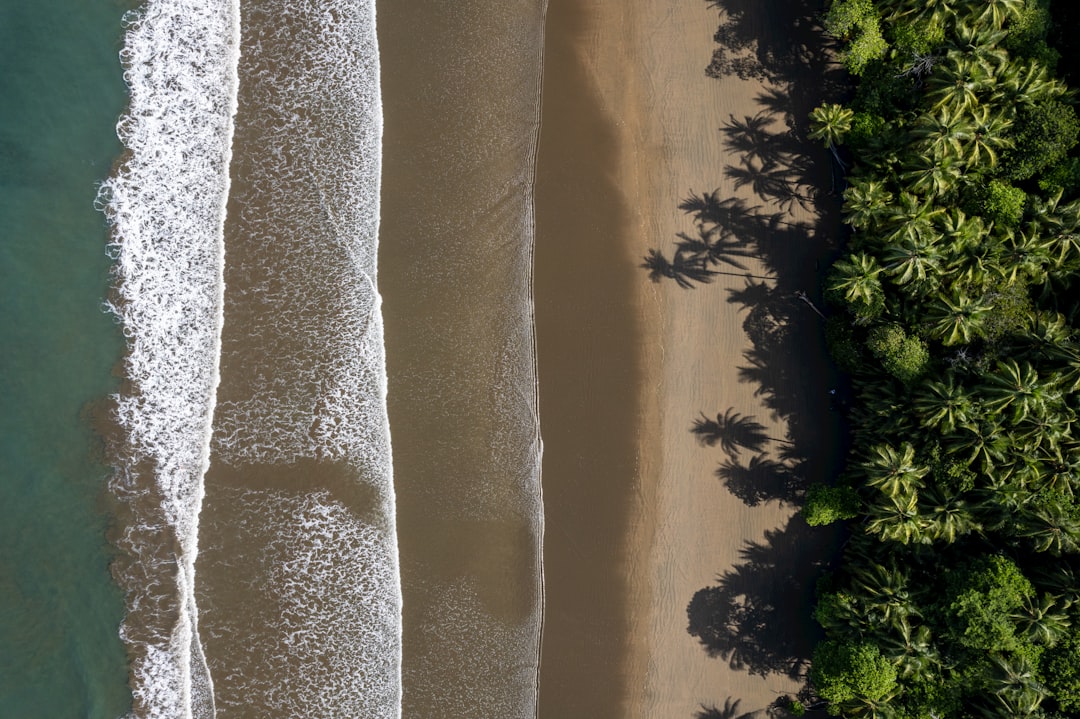 Humid Subtropical (Cfa, Cwa): Hot, humid summers with mild winters ...