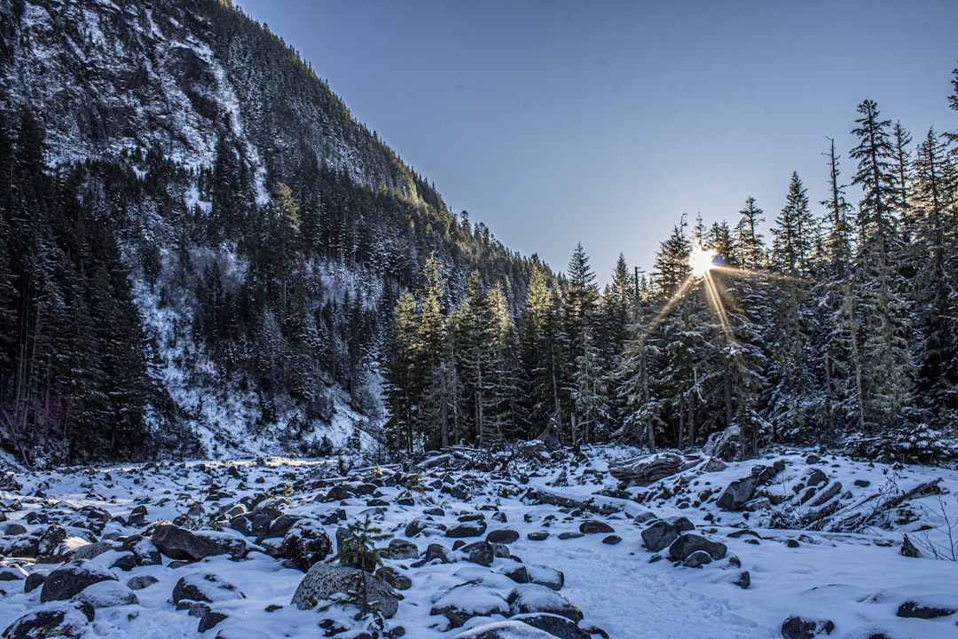 Tundra (ET): Extremely cold winters, cool summers, and very little ...
