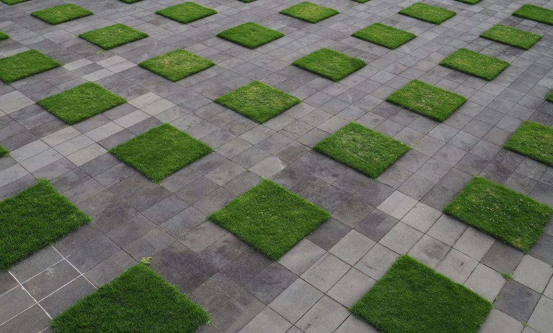Temperate Zones: Balancing Nature and Urbanization - Earth Site Education