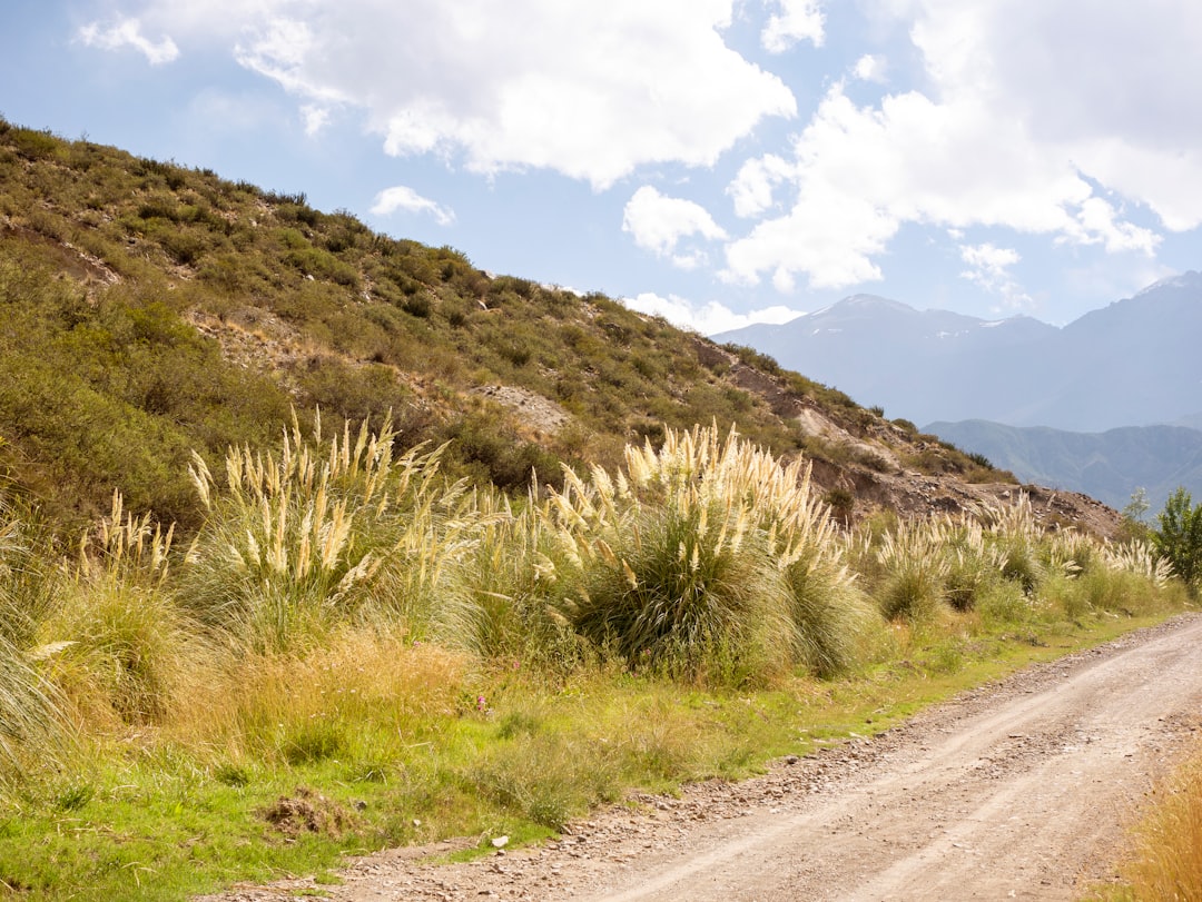Peru's Diverse Climate Zones: Exploring Different Regions - Earth Site ...