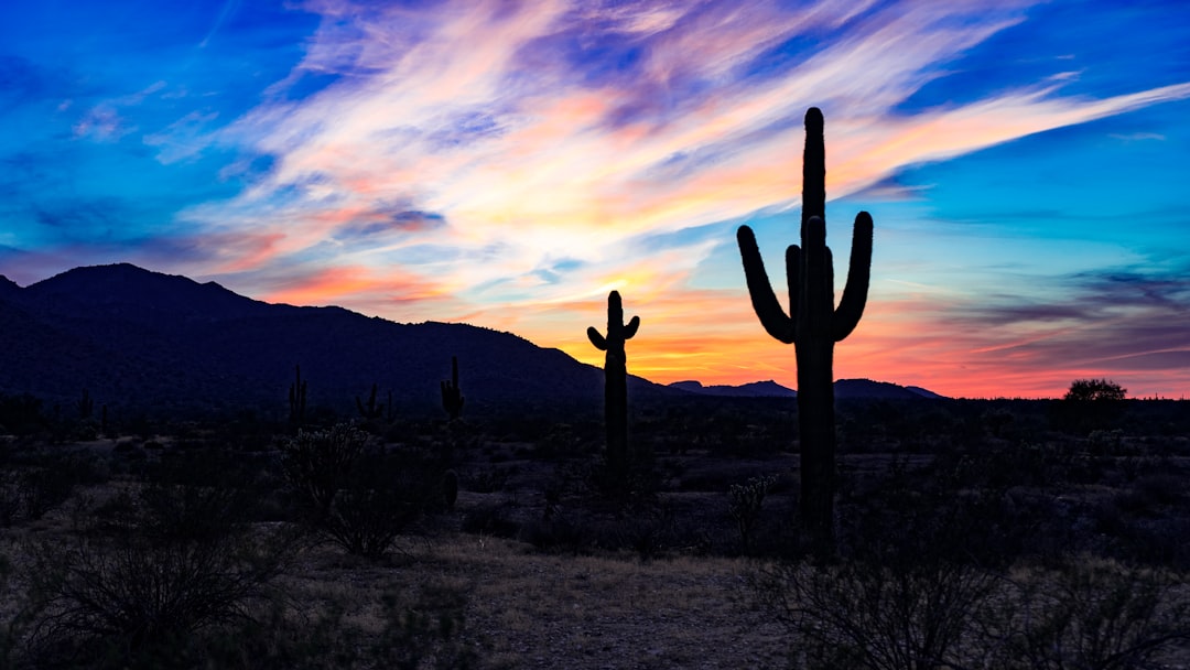Deserts: How Life Survives in Extreme Conditions - Earth Site Education