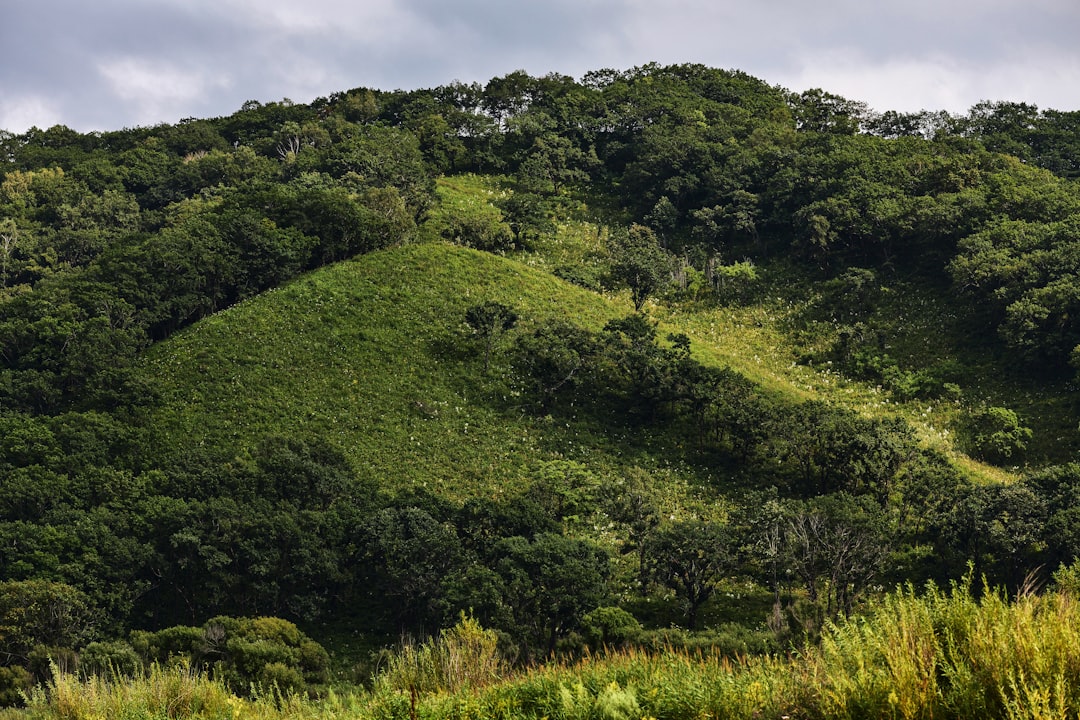 Terrain and Topography of Seychelles: mountains, valleys, and plains.