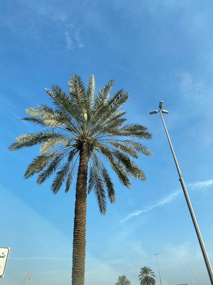 Discovering the Flora and Fauna of Bahrain