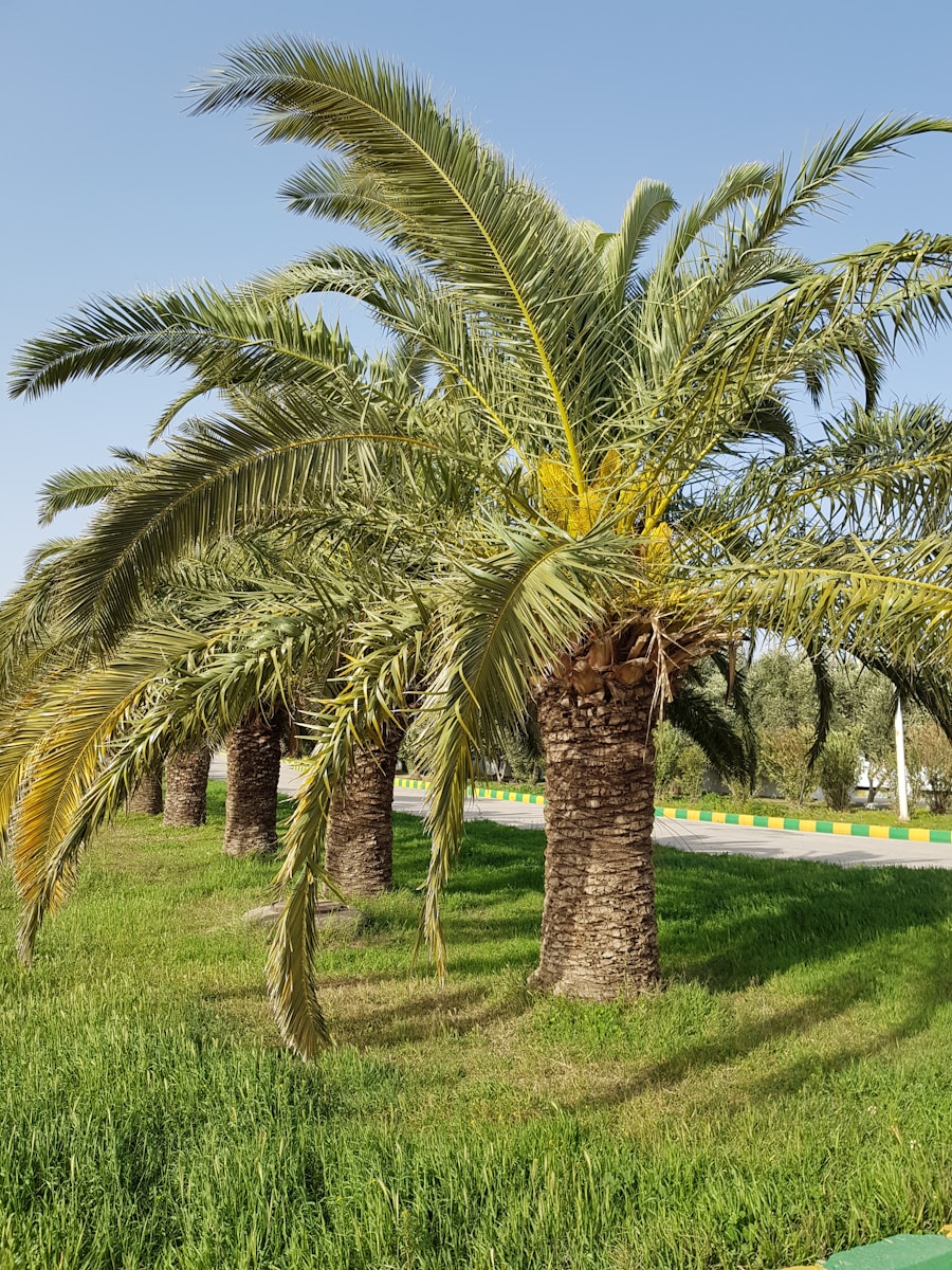 Exploring the Flora and Fauna of Qatar