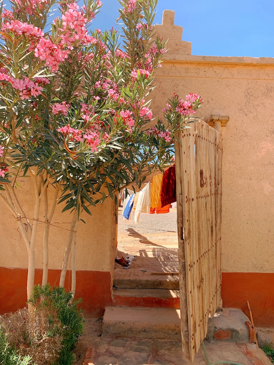 Exploring Morocco's Rich Flora and Fauna