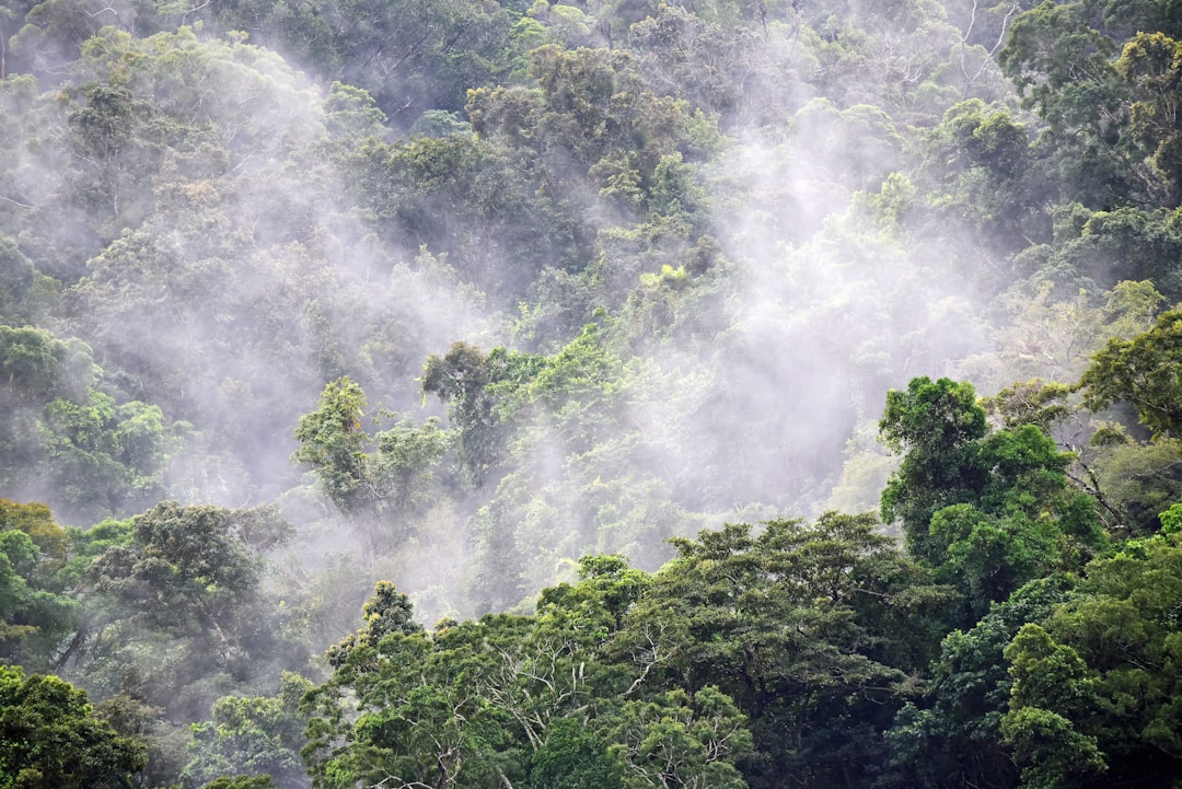 Exploring the Biodiversity of Vanuatu's Flora and Fauna