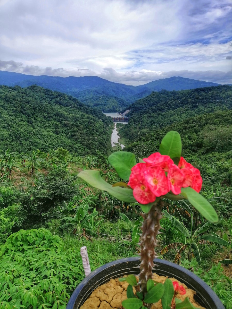 Exploring the Flora and Fauna of Laos