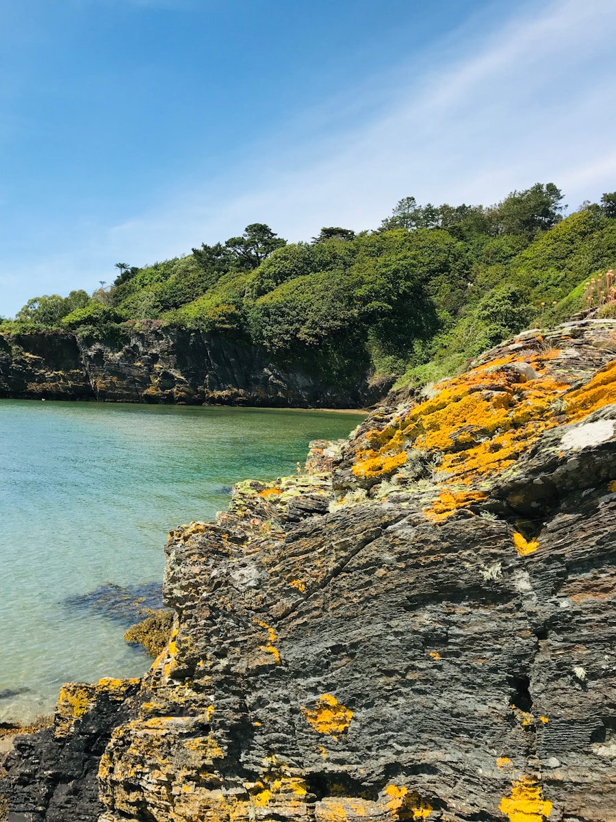 Exploring the Flora and Fauna of Guernsey